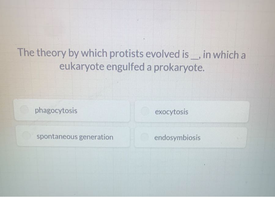 The theory by which protists evolved is in which a eukaryote engulfed a ...