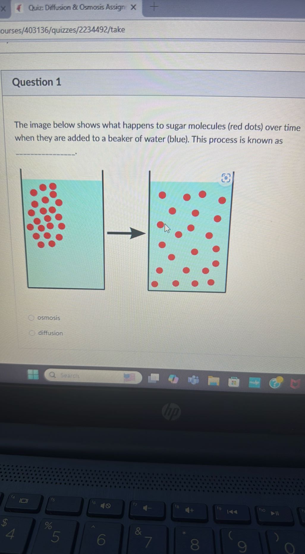 Quiz: Diffusion & Osmosis Assign ourses/403136/quizzes/2234492/take ...
