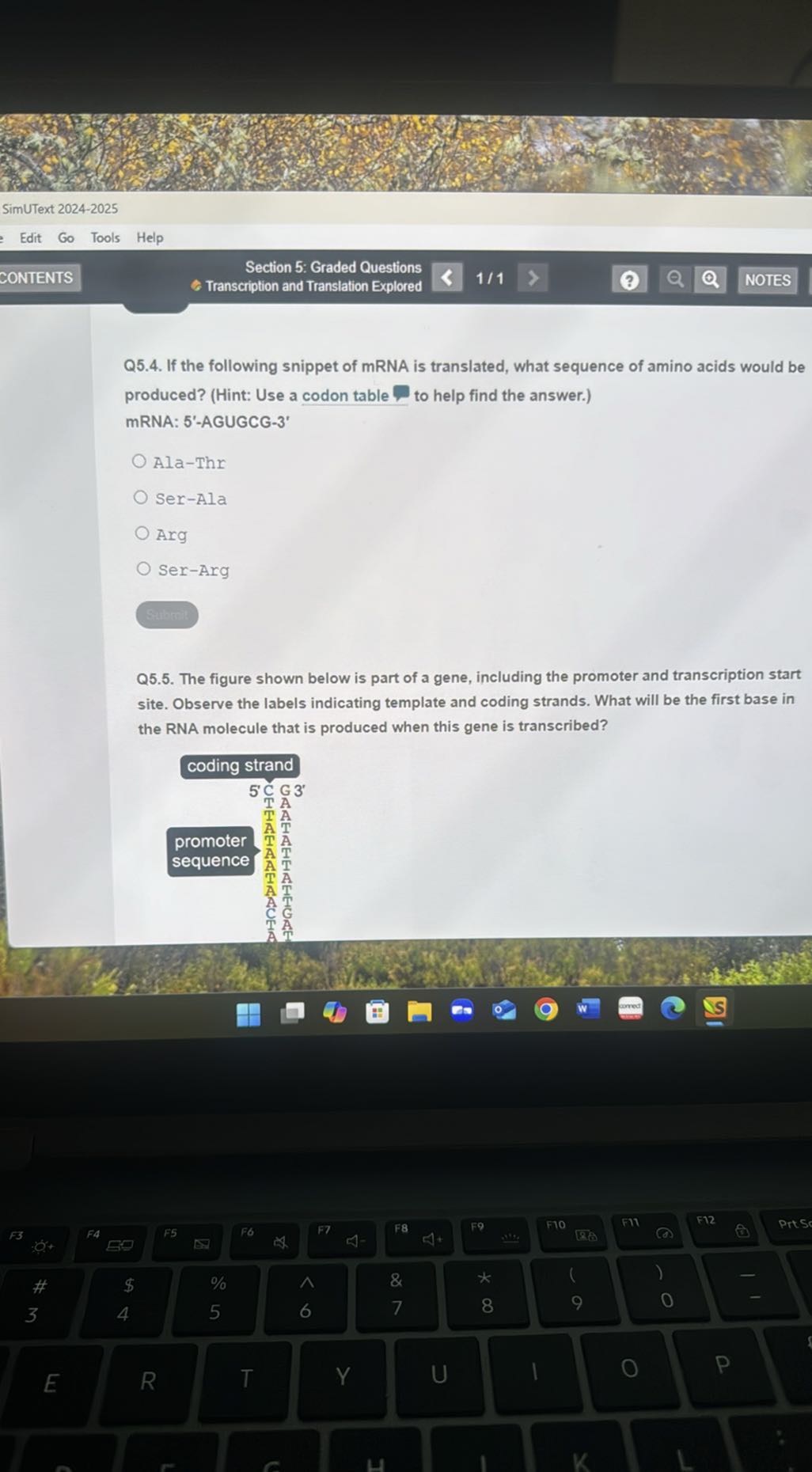 SimUText 2024-2025 Edit Go Tools Help CONTENTS Section 5: Graded Questions Transcription and ...