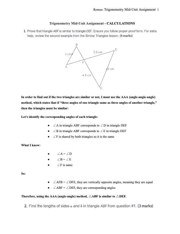 Remus- Trigonometry Mid-Unit Assignment 1 Trigonometry Mid-Unit ...