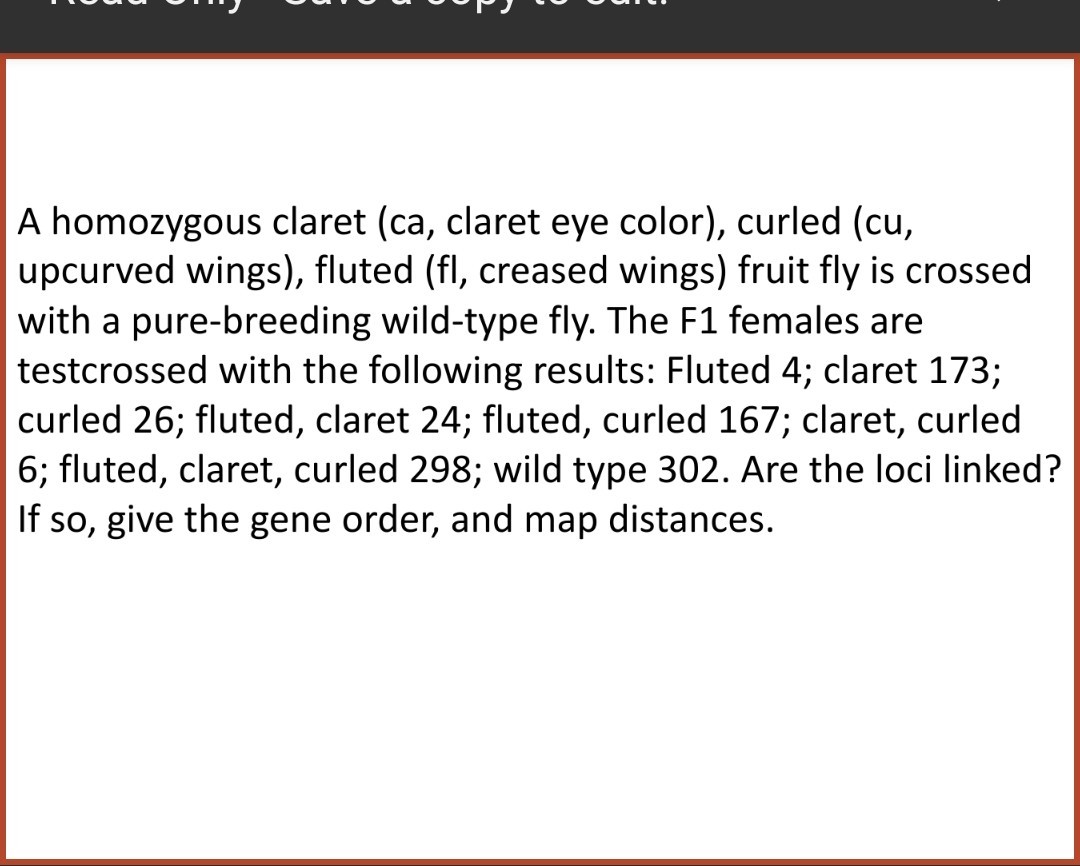 a homozygous claret ca claret eye color curled cu upcurved wings fluted ...