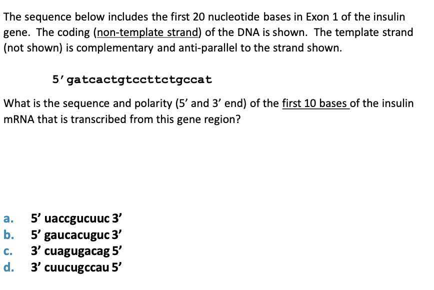 The sequence below includes the first 20 nucleotide bases in Exon 1 of ...