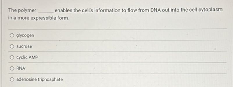 The polymer enables the cell's information to flow from DNA out into ...