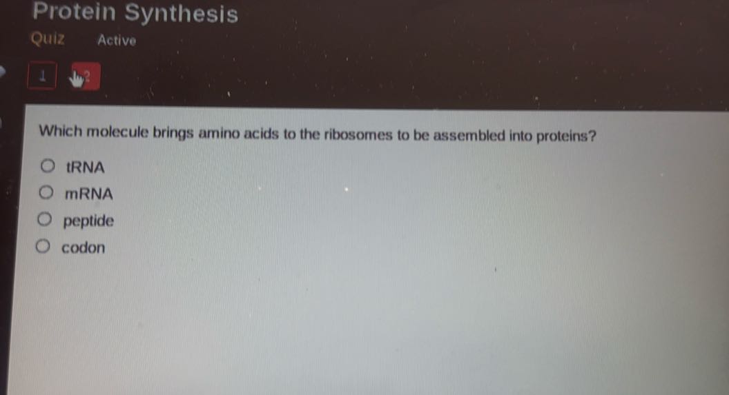 Protein Synthesis Quiz Active 1 Which molecule brings amino acids to ...