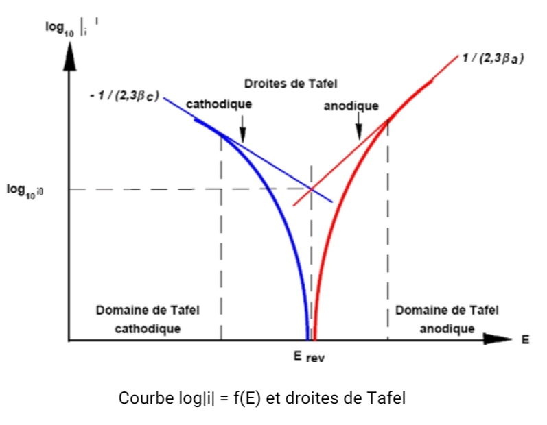 SOLVED: Courbe log |i|=f(E) et droites de Tafel