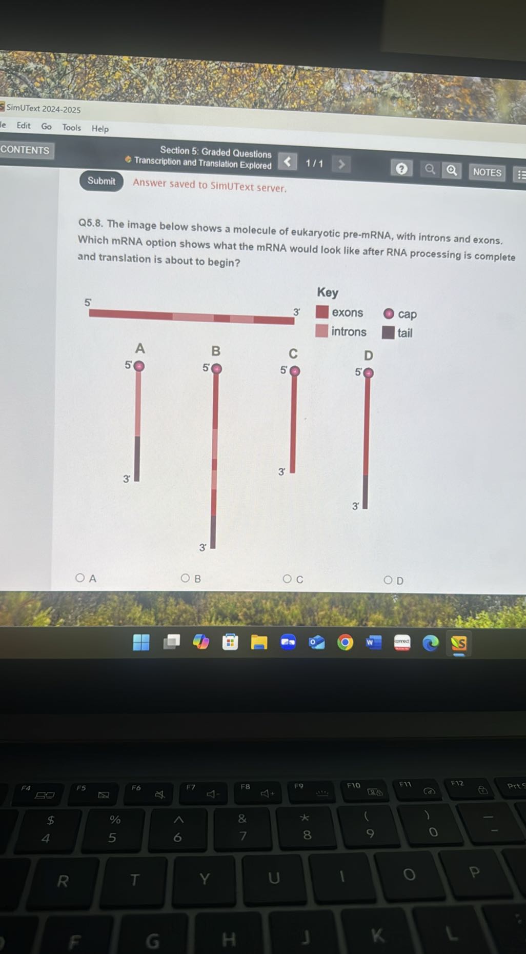 simutext 2024 2025 contents section 5 graded questions transcription and translation explored 1 ...