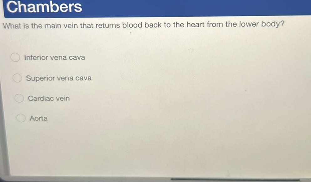 Chambers What is the main vein that returns blood back to the heart ...