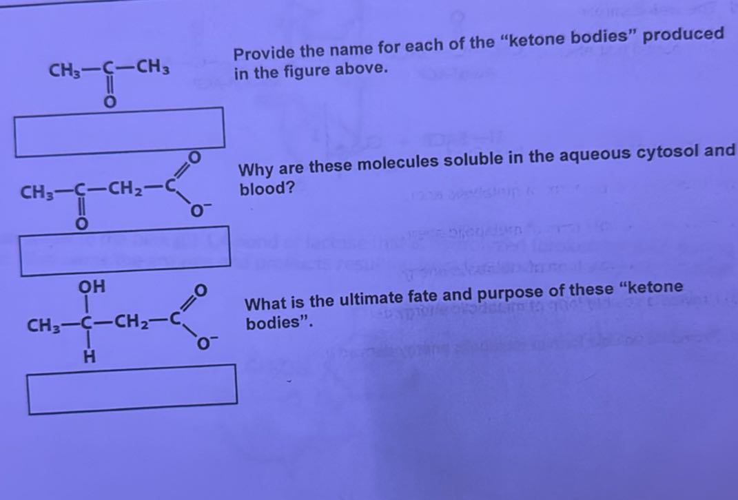 provide the name for each of the ketone bodies produced in the figure ...