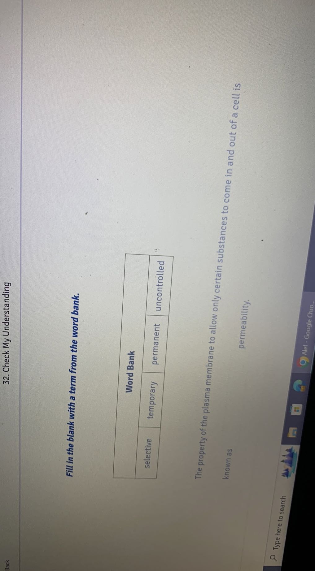 Back 32. Check My Understanding Fill in the blank with a term from the ...