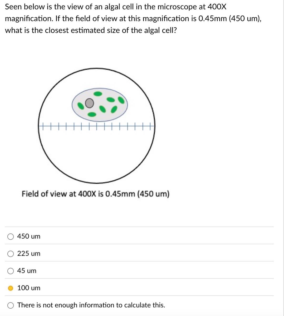 Seen below is the view of an algal cell in the microscope at 400X ...