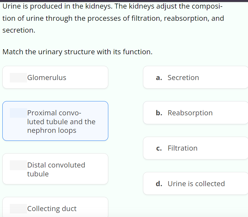 Urine is produced in the kidneys. The kidneys adjust the composition of ...