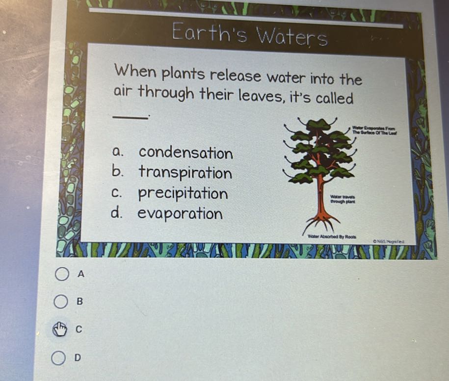 [GET ANSWER] Earth's Waters When plants release water into the air ...