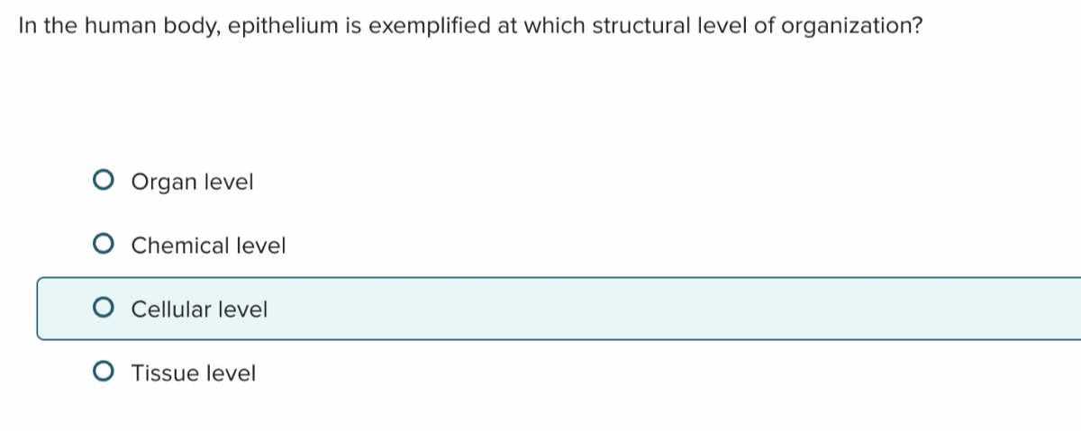 In the human body, epithelium is exemplified at which structural level ...