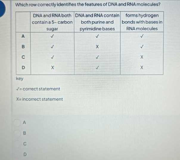 Which row correctly identifies the features of DNA and RNA molecules ...
