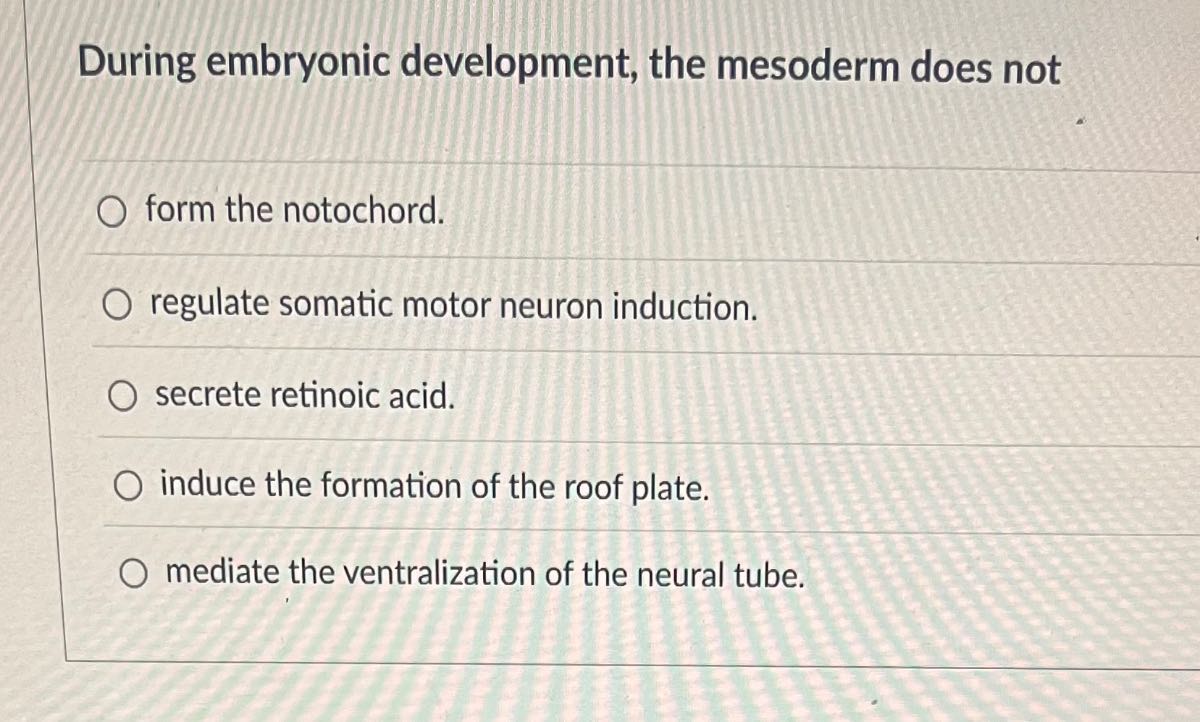 During embryonic development, the mesoderm does not form the notochord ...