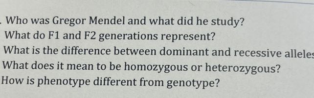 Who was Gregor Mendel and what did he study? What do F1 and F2 ...