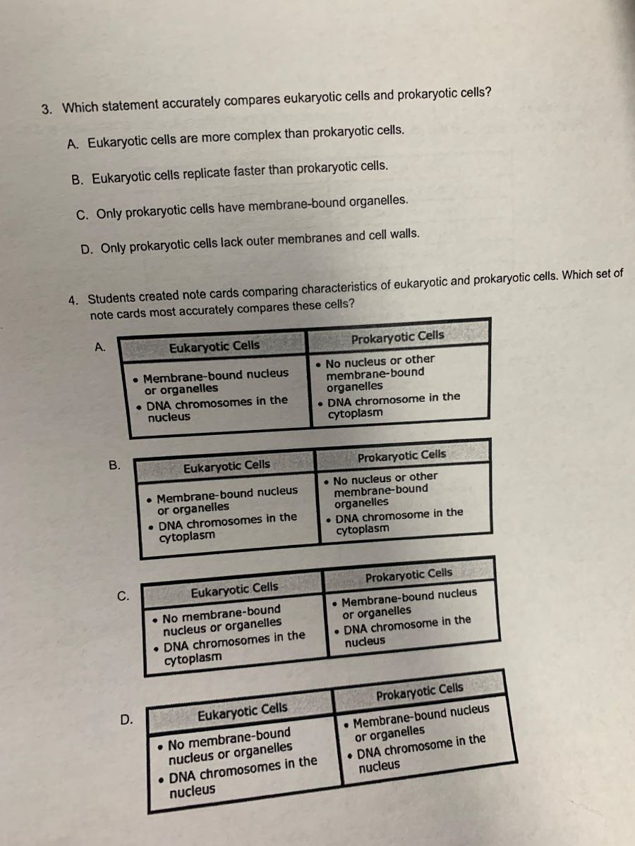 3. Which statement accurately compares eukaryotic cells and prokaryotic ...