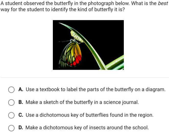 A student observed the butterfly in the photograph below. What is the ...