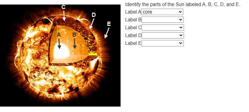 Identify the parts of the Sun labeled A, B, C, D, and E Label A core ...