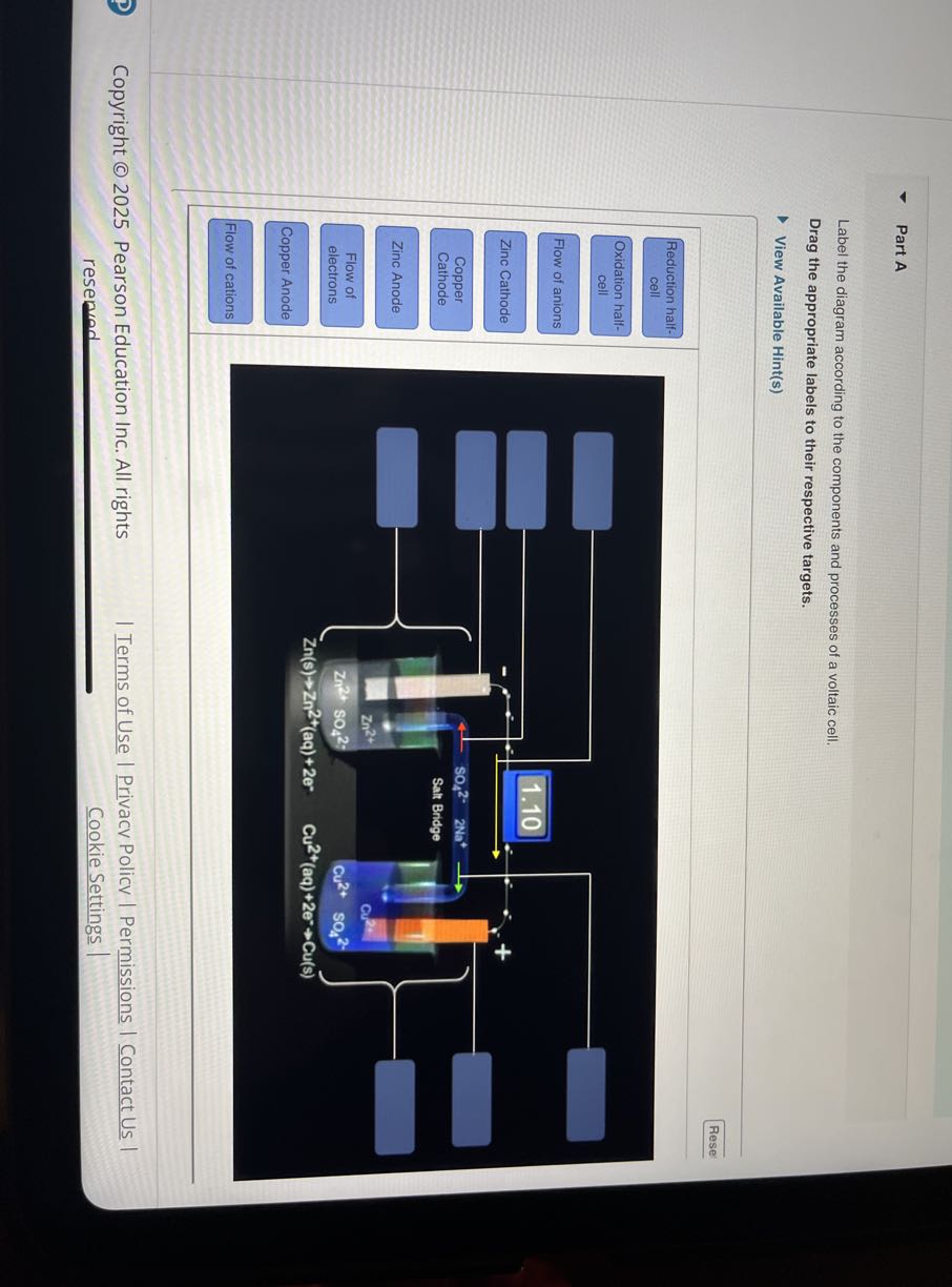 Part A Label the diagram according to the components and processes of a ...