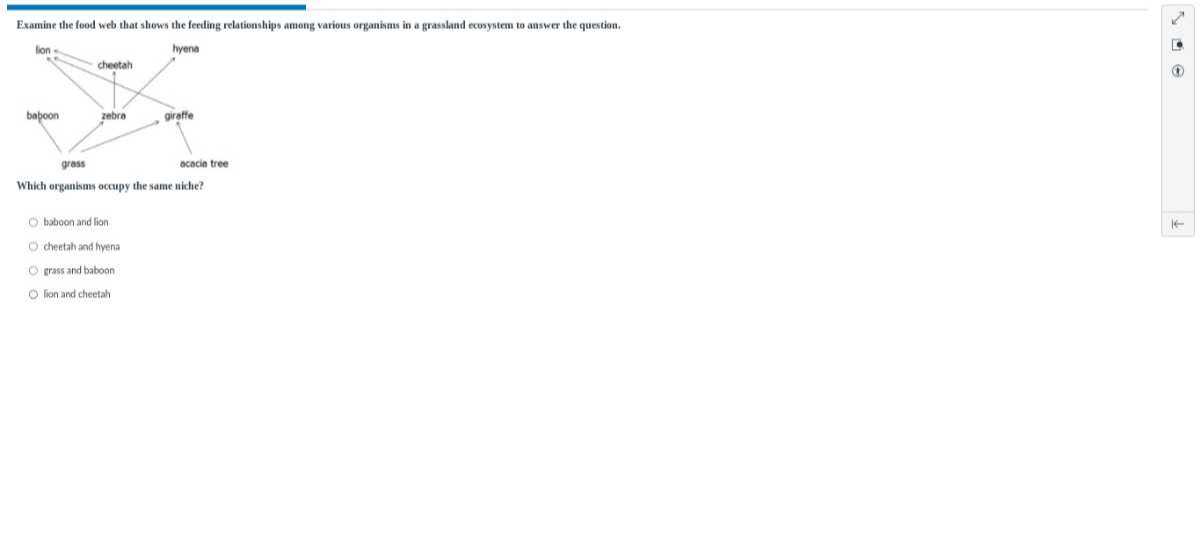 Examine the food web that shows the feeding relationships among various ...