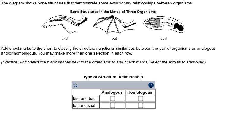 The diagram shows bone structures that demonstrate some evolutionary ...