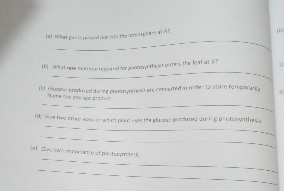 (a) What gas is passed out into the atmosphere at A? (b) What raw ...