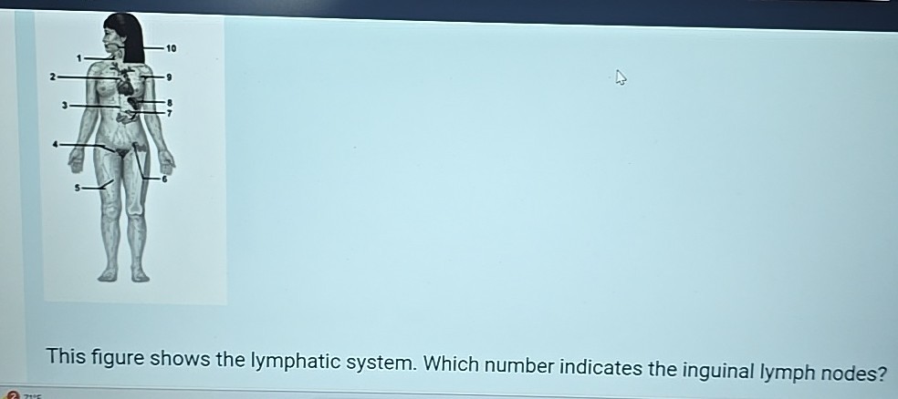 This figure shows the lymphatic system. Which number indicates the ...