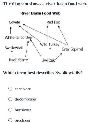 The diagram shows a river basin food web. River Basin Food Web Which ...