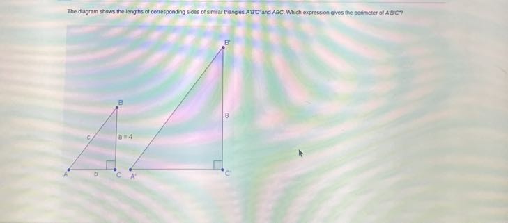 The diagram shows the lengths of corresponding sides of simlar ...