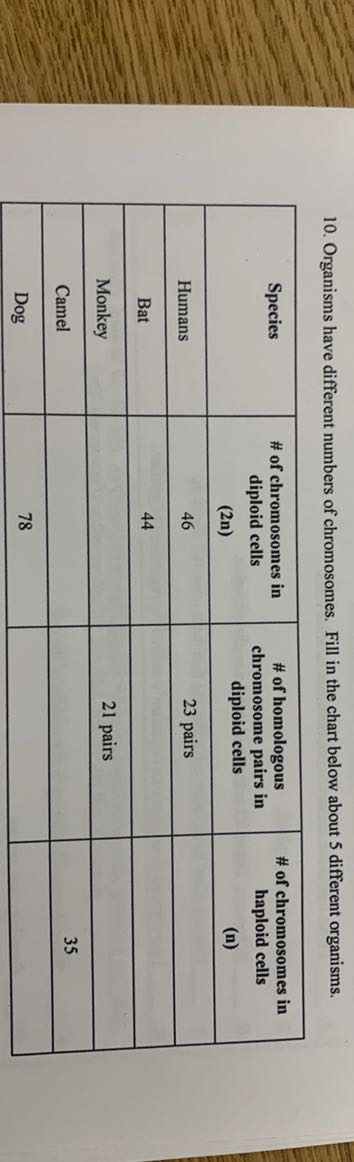 10. Organisms have different numbers of chromosomes. Fill in the chart ...
