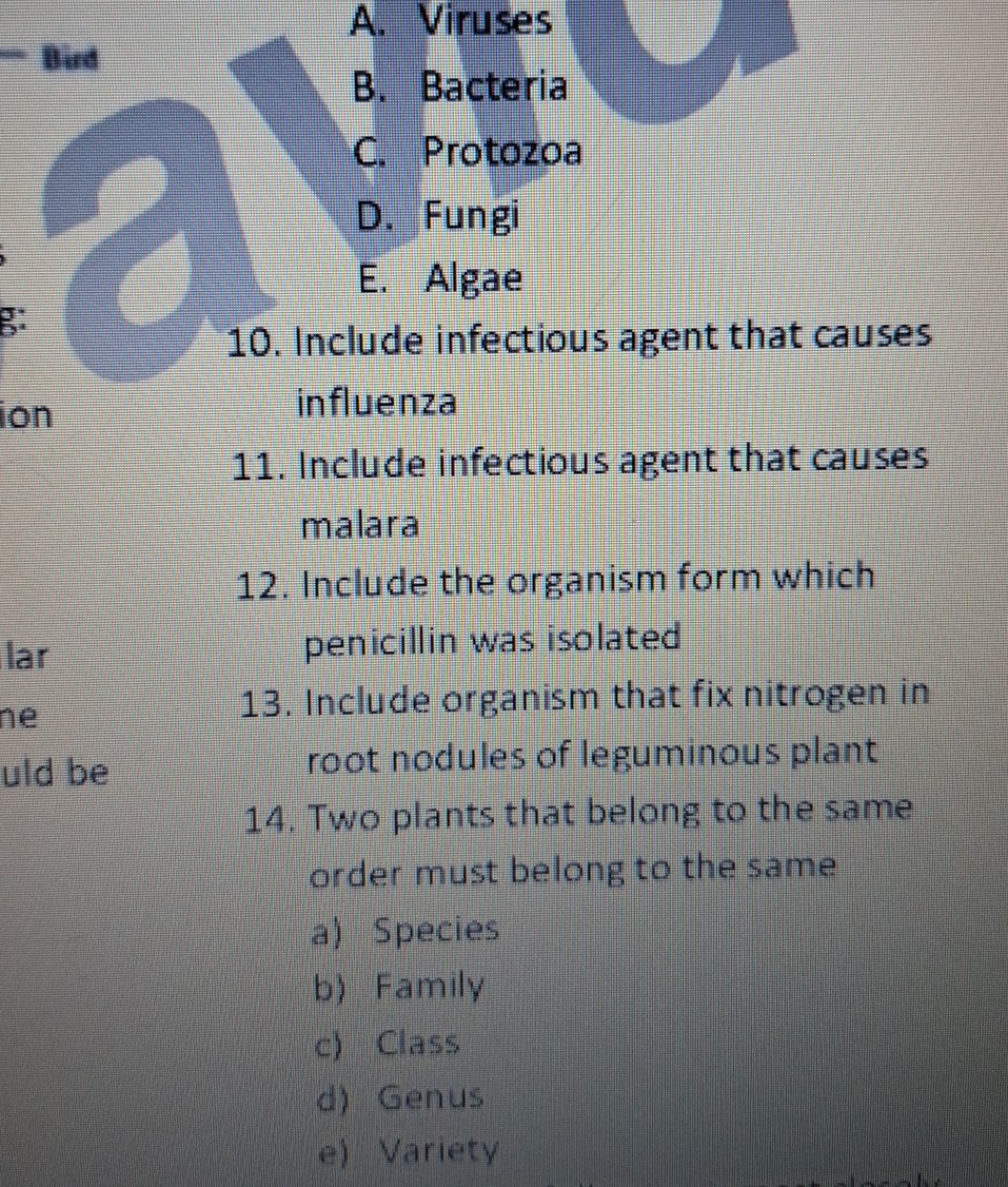 bue a viruses b bacteria c protozoa d fungi e algae 10 include ...