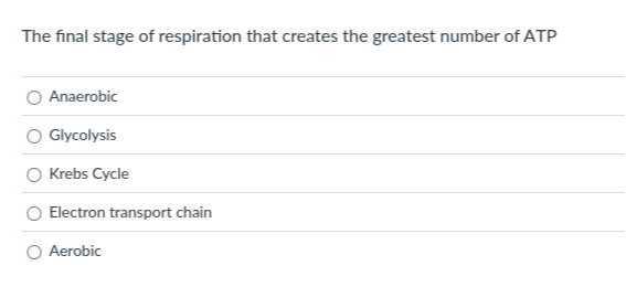 The final stage of respiration that creates the greatest number of ATP ...