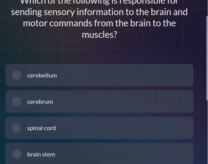 sending sensory information to the brain and motor commands from the ...