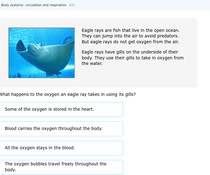 Body systems: circulation and respiration 6 D U Eagle rays are fish ...