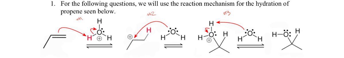 1. For the following questions, we will use the reaction mechanism for ...