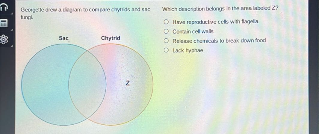 Georgette drew a diagram to compare chytrids and sac fungi. Which ...