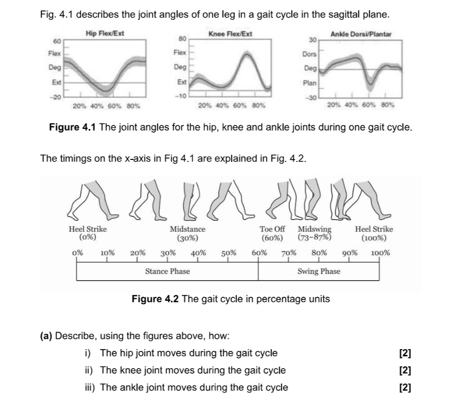 Fig. 4.1 describes the joint angles of one leg in a gait cycle in the ...