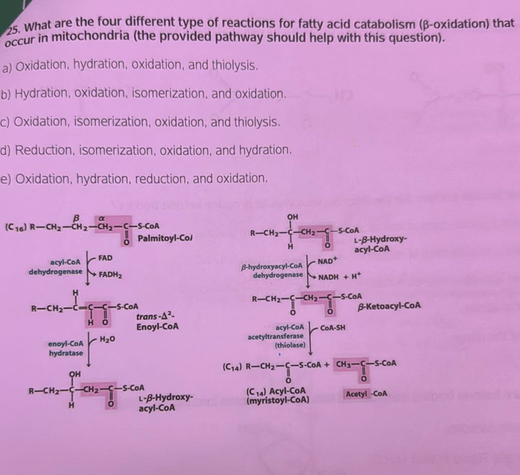 25 what are the four different type of reactions for fatty acid ...