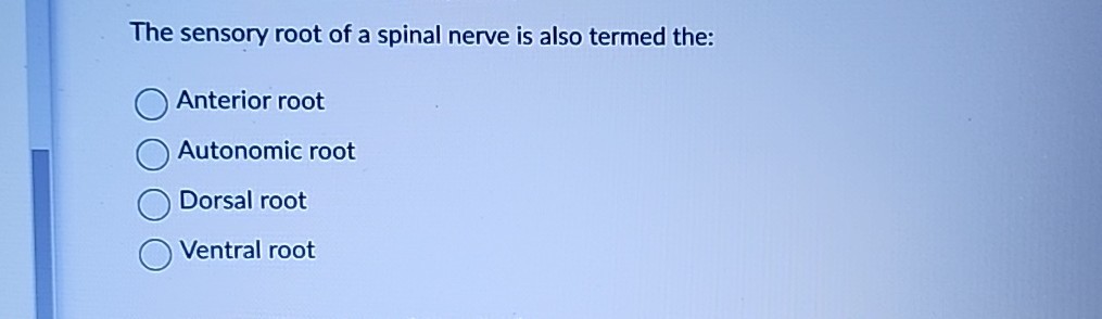 The sensory root of a spinal nerve is also termed the: Anterior root ...