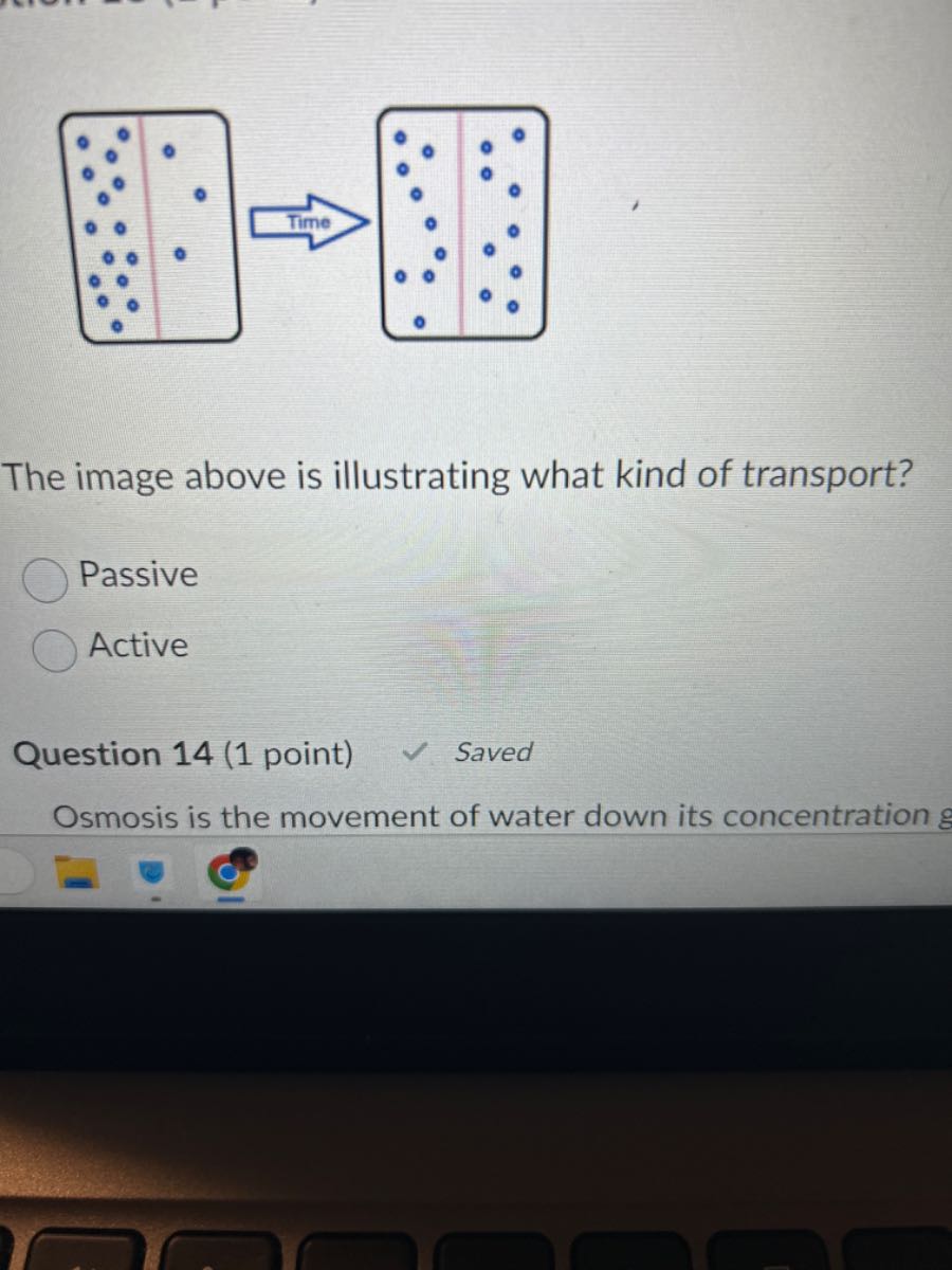 The image above is illustrating what kind of transport? Passive Active ...