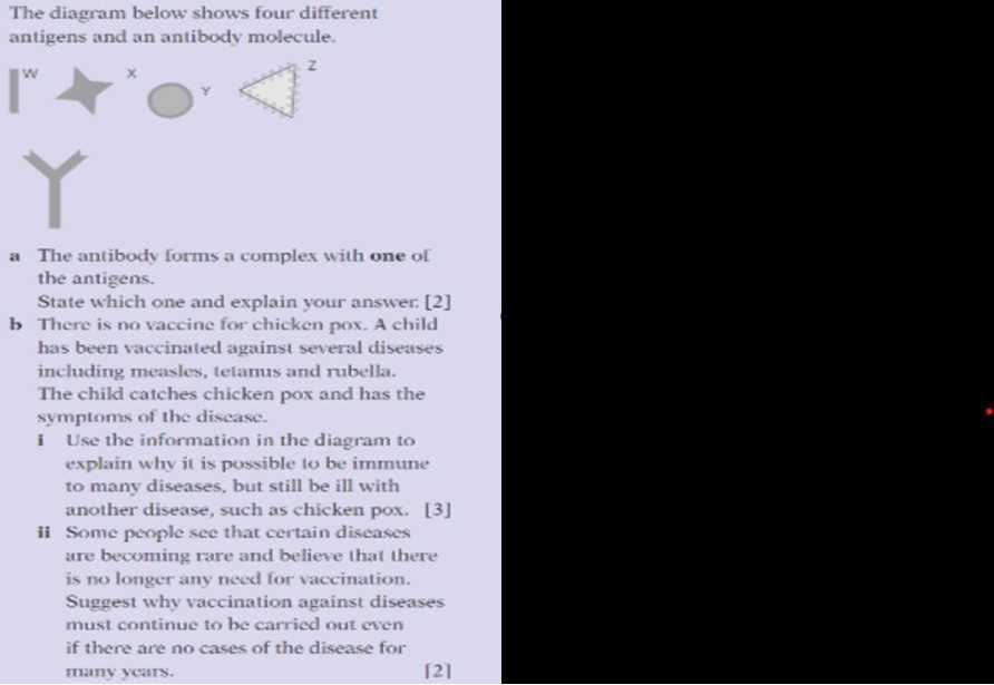the diagram below shows four different antigens and an antibody ...