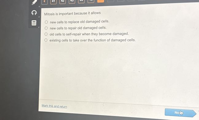 Mitosis is important because it allows new cells to replace old damaged ...