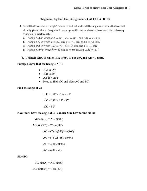 Remus- Trigonometry End Unit Assignment 1 Trigonometry End Unit Assignment - CALCULATIONS 1 ...