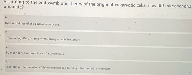 According to the endosymbiotic theory of the origin of eukaryotic cells ...