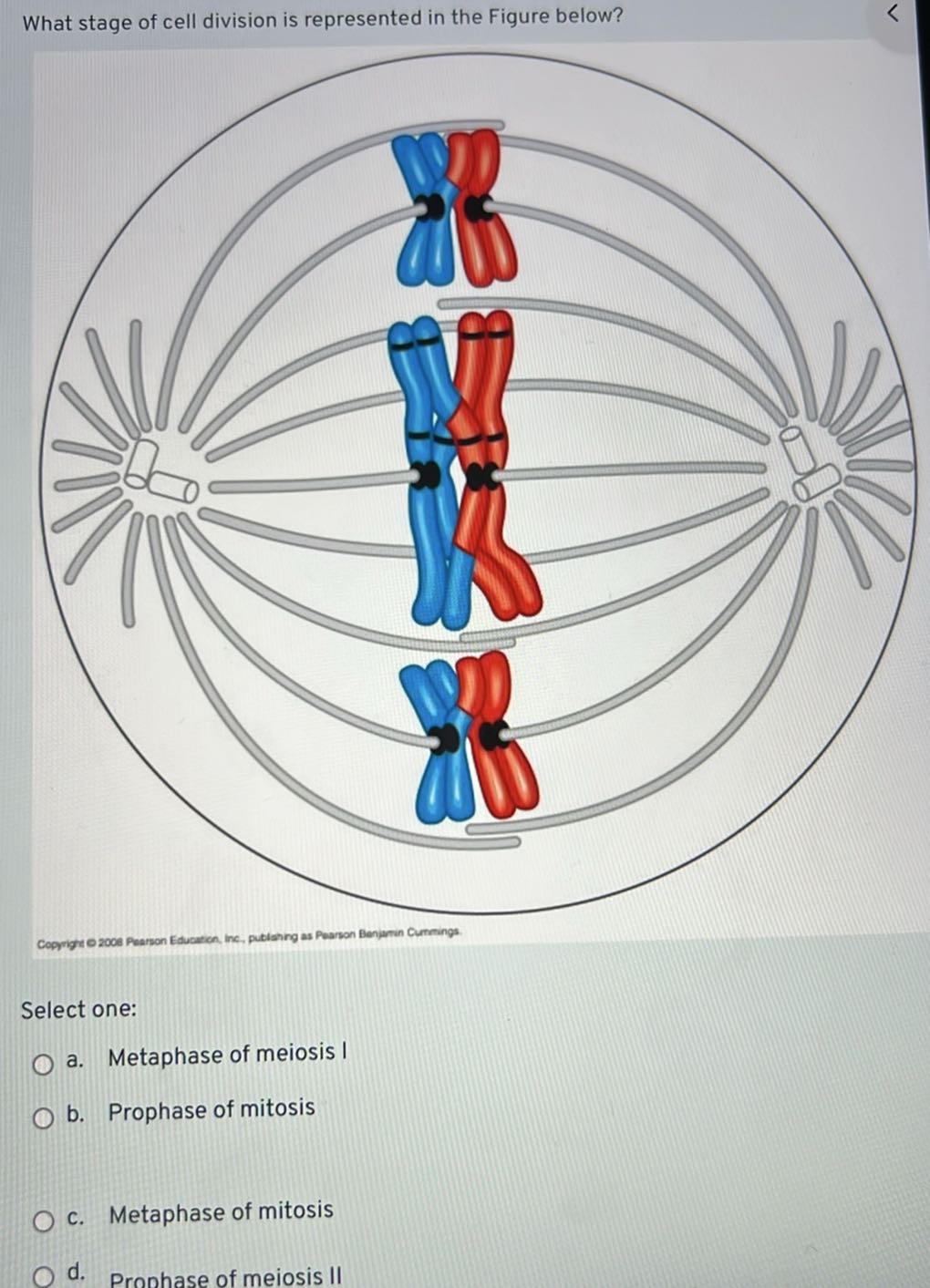 what stage of cell division is represented in the figure below coprigre ...