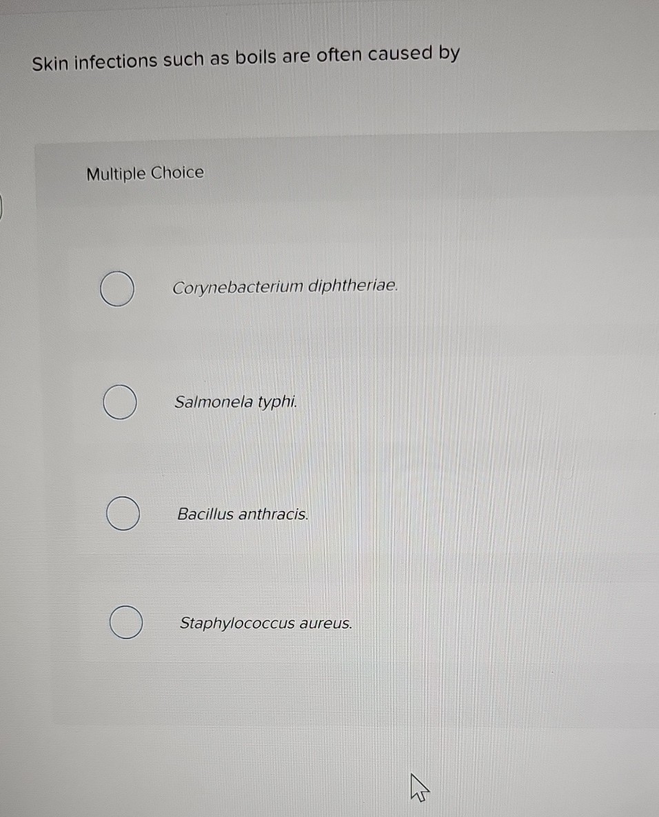 Skin infections such as boils are often caused by Multiple Choice ...