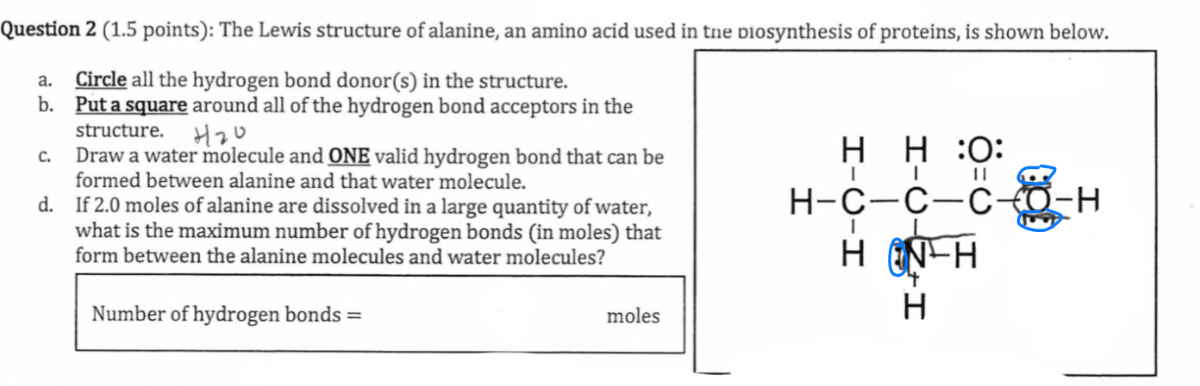 Question 2 (1.5 points): The Lewis structure of alanine, an amino acid ...