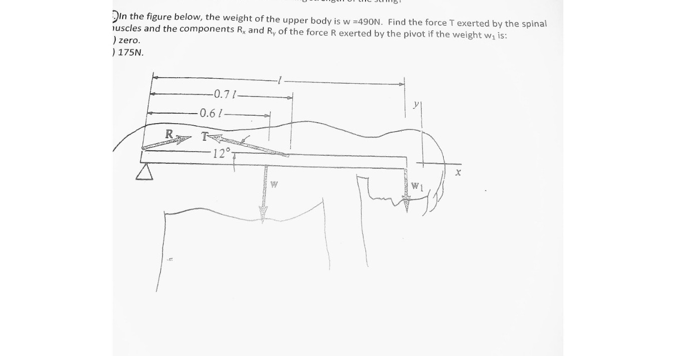 In the figure below, the weight of the upper body is w=490 N. Find the ...