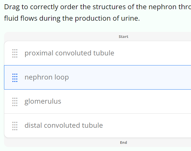 SOLVED: Drag to correctly order the structures of the nephron thrc ...